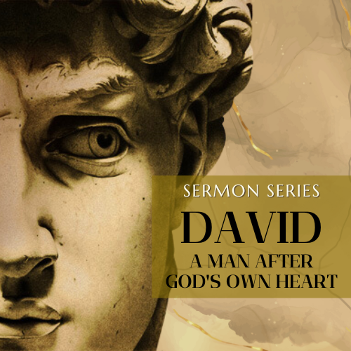 David A Man After God’s Own Heart, Part 6 – Abigail’s Delivering Wisdom | Stephen Riley