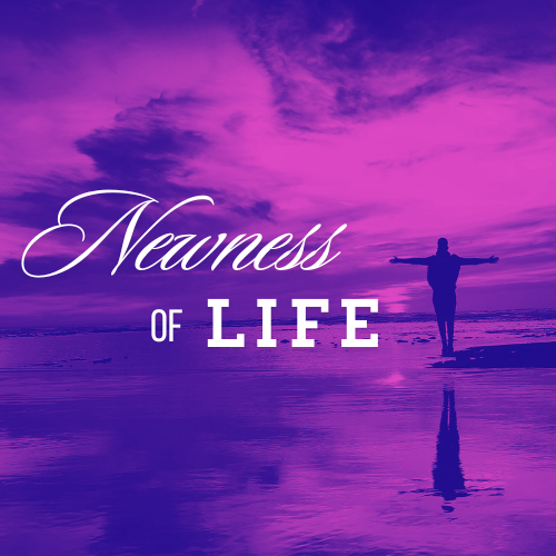 Newness of Life | Stephen Riley